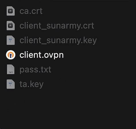 告别繁琐设置，用openvpn一键实现内网穿透与远程办公 哔哩哔哩