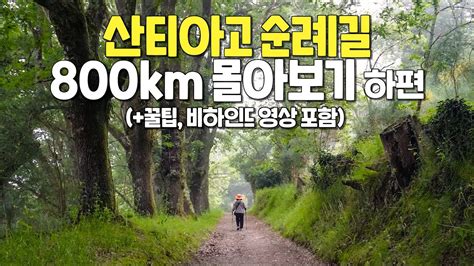 눈물주의 최신판 산티아고 순례길 800km 몰아보기 下편 Youtube