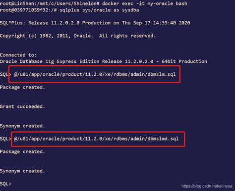 Oraclelogminer学习和实践笔记 且炼时光