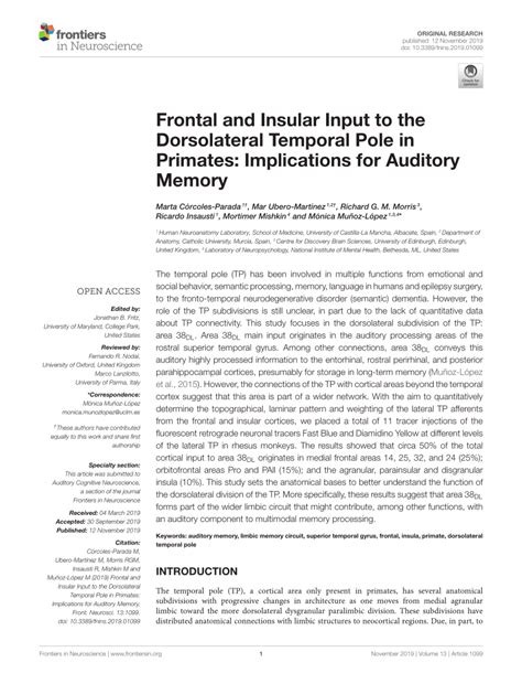 Pdf Frontal And Insular Input To The Dorsolateral Temporal Pole In