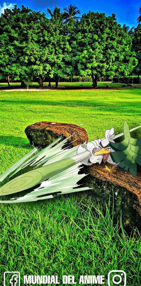 Sirfechd Wallpaper By Mundialdelanime Download On Zedge™ 3cf8