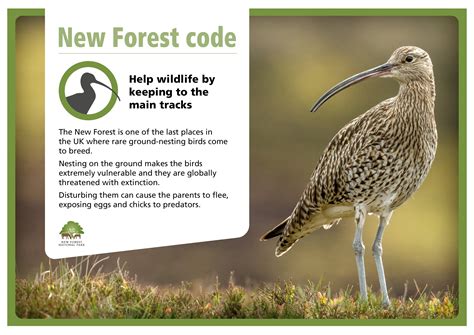 New Forest Code New Forest National Park Authority