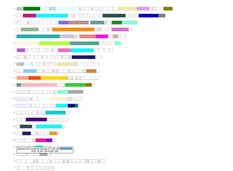 the who what where when why and how of using dna segment data
