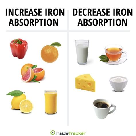 Maximize Iron Absorption Nutrition Facts Label Foods With Iron Iron Intake