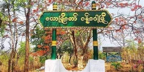 Dvb ဂန့်ဂေါနှင့် ပေါက်တွင် ပြည်သူ ၂ ဦးကို Pdf ထောက်ပံ့သူဟု စွပ်စွဲပ