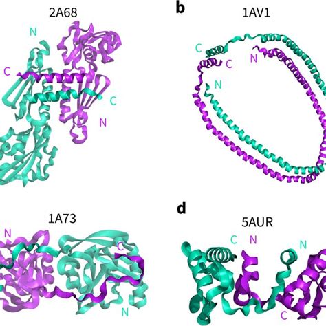 Experimental Structures Of Protein‒protein Complexes In Which The