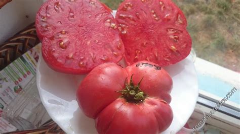 Венгерский в форме сердца (Hungarian Heart Shaped) - В — сорта томатов ...