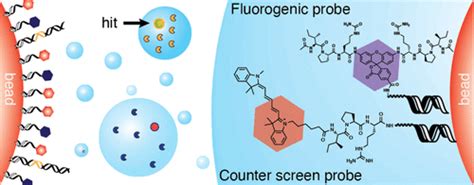 Acs Combinatorial Science Vol 22 No 11 Acs Publications