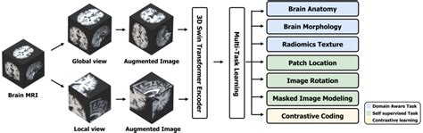 논문 리뷰 Domain Aware Multi Task Pretraining Of 3d Swin Transformer For T1 Weighted Brain Mri