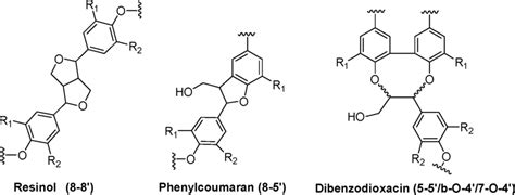 Inter Unit Linkage Based Sub Structures Of Technical Grade Lignin Download Scientific Diagram