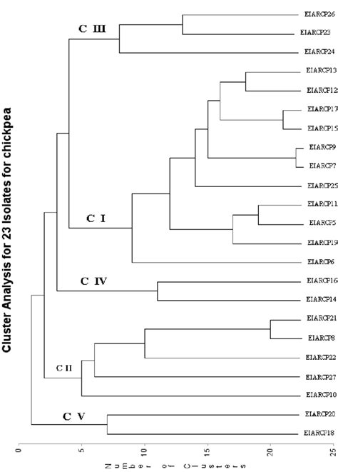 Dendrogram Highlighting The Phenotypic Similarity Among The Test Isolates Download Scientific