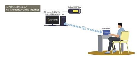 Nis Elements Software Microscope Products Nikon Instruments Inc