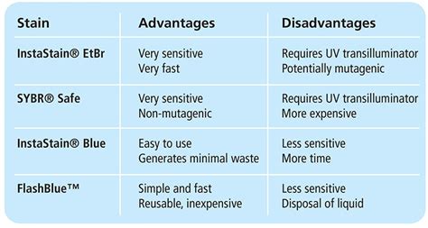 Quick Guide Visualizing Dna