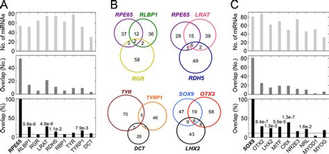 Bioinformatic Prediction Of Regulatory Mirnas A Prediction Of Download Scientific Diagram