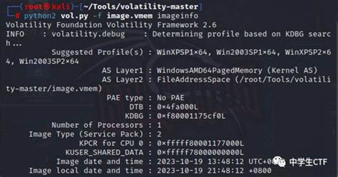 2023“技能兴鲁”网络安全赛项初赛misc 【卑劣的手段】 青少年ctf 优秀文库