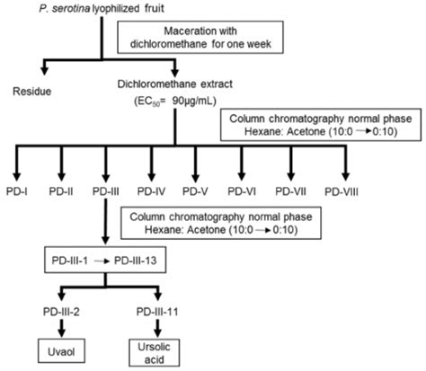 Diagram For Extraction And Bio Guided Fractionation Of The Download Scientific Diagram