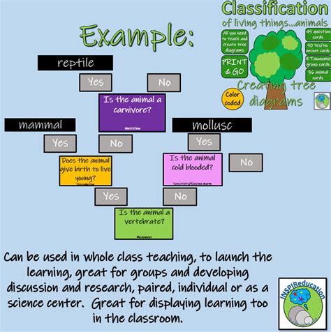 Classification Of Animals Science Taxonomic Groups Tree Diagrams