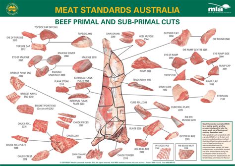 Msa Beef Cuts Poster Meat And Livestock Australia