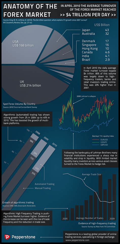 Anatomy Of The Forex Market Infographic