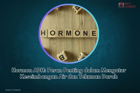 Hormon Adh Peran Penting Dalam Mengatur Keseimbangan Air Dan Tekanan Darah