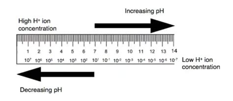 PH Meter Principle Parts Types Procedure Calibration Application Examples Biology