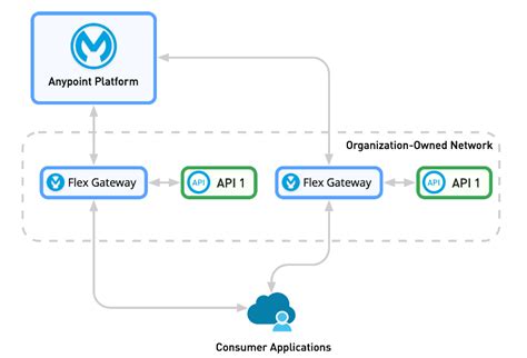 Flex Gateway Your Gateway To Secure Data Transit Adaptiv