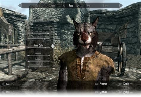 Skyrim Low Resolution Texture Pack Taiasync