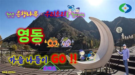 영동여행 천년세월의 은행나무와 우리소리를 찾아서 가을여행 다녀왔습니다 영동군 영국사 옥계폭포 난계사 월류봉 반야사 영동와인터널 Youtube