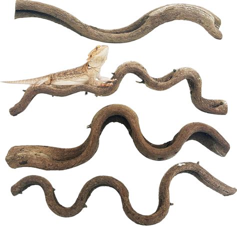 Apatal Reptile Branches For Climbing Natural Snake Climb