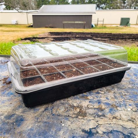 Vegetable Seed Germination Temperature Chart