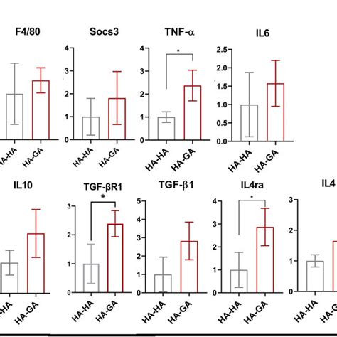 Schematic Representation Of The Formation Of Hydrazone Crosslinked Download Scientific Diagram