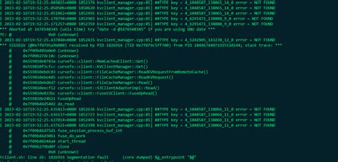 core dump occurs during data reading and writing at the fuse mount point · issue 2250