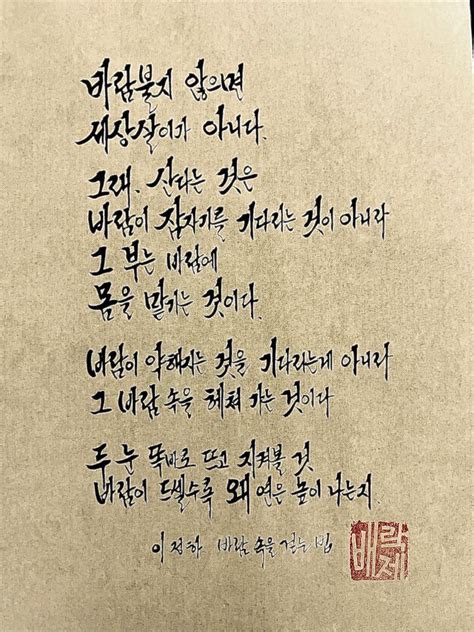 바람불지 않으면 세상 살이가 아니다 멋진 문구 힘을 주는 명언 시