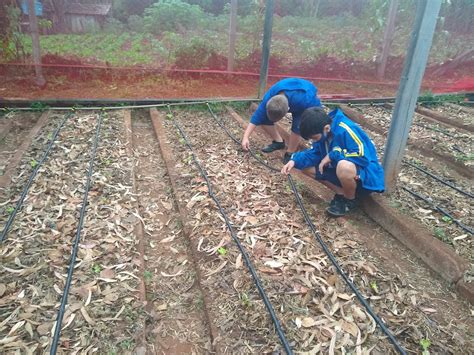 PROJETO DE CAPTAÇÃO DE ÁGUA DA CHUVA E IRRIGAÇÃO DA HORTA ESCOLAR ENVOLVE A COMUNIDADE ESCOLAR