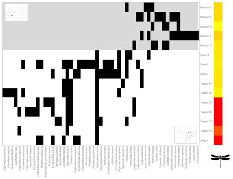 Metacommunity Patterns Of Amazonian Odonata The Role Of Environmental