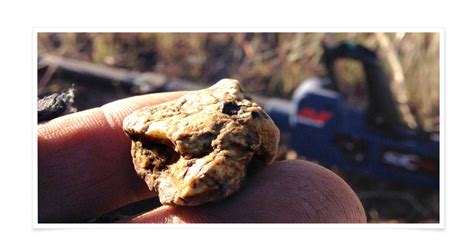 Minelab Sdc 2300 Compact Folding Pulse Induction Metal Detector Adventures In Prospecting