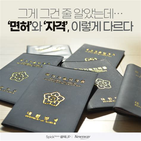 미용사 자격증 면허증 준비방법 및 발급방법 데일리 이슈