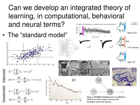 Ppt Learning Development And Plasticity Josh Tenenbaum Mit Department Of Brain And Cognitive