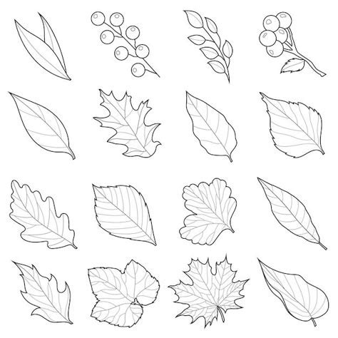 Dessin De Feuilles Facile