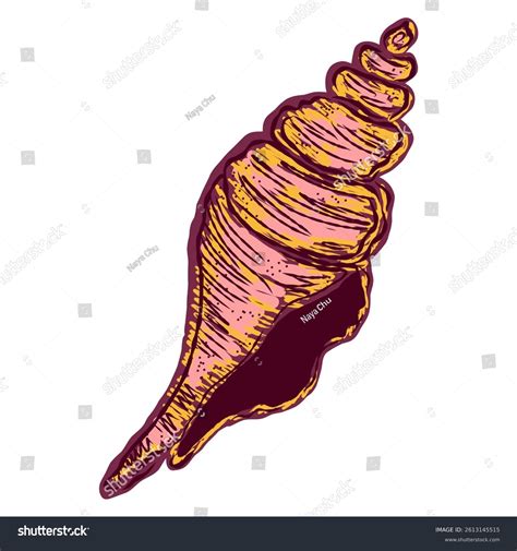 Shell Stylized Technique Marine World Shell Stock Vector Royalty Free