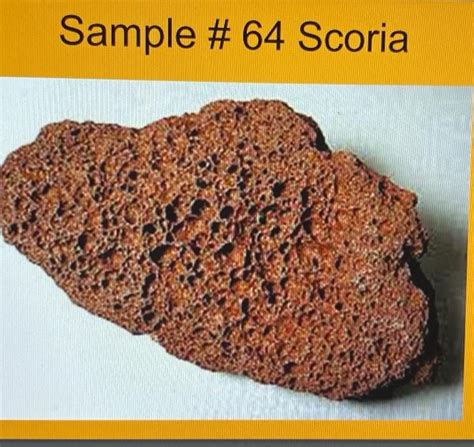 Solved Step 3 Use The Igneous Rock Identification Key In