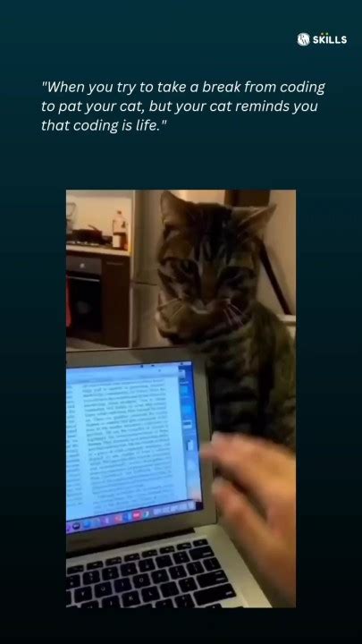 Ineuronai On Linkedin Pw Funny Trendingreels Viralreels Programmingmemes Codingmemes