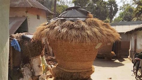 Safeguarding Traditional Seed Storage Systems For Sustainable