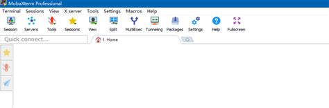 工具栏设置自定义按钮后全都不见了 · Issue 5 · Ripplepiammobaxterm Chinese Simplified