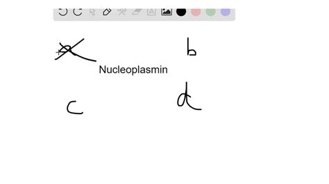 ⏩solved To Find The Nuclear Localization Signal In The Protein… Numerade
