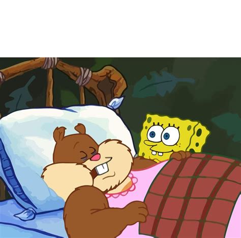 Arenita Durmiendo Arena Familia Peluche Memes Originales
