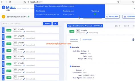 View And Analyze Kubernetes API Traffic Using Kubeshark ComputingForGeeks