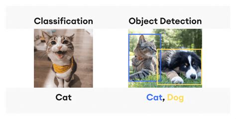 Beginners Guide To Image Classification Apis And Its Use Cases