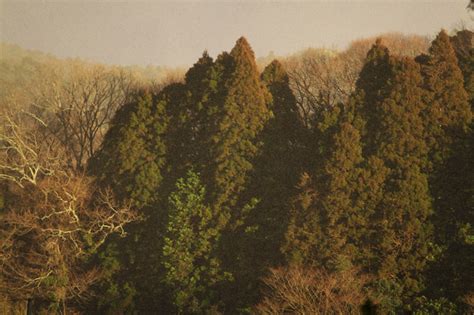 お天気雨は狐の嫁入りだけど、お天気雪は何て言うんだろうか？ 孝信s Photoブログ
