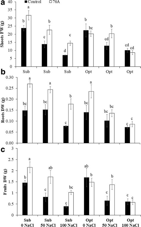 Root Inoculation With Azotobacter Chroococcum 76a Enhances Tomato Plants Adaptation To Salt
